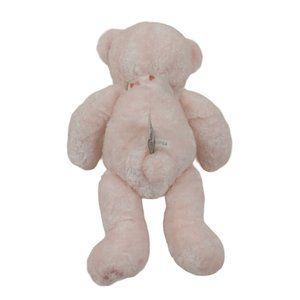 Gund | Toys | Gund Sweet Sentiments Pink Girl Teddy Bear Youre Special ...
